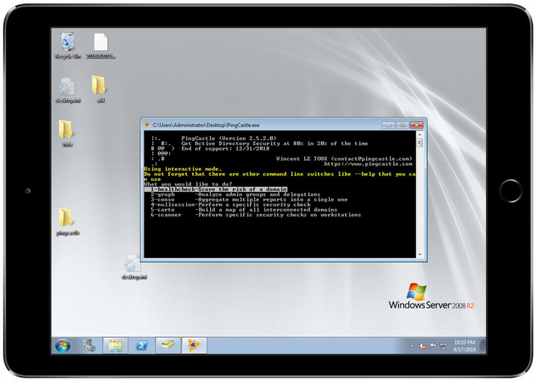 Run PingCastle - PingCastle