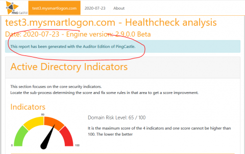 Services - PingCastle